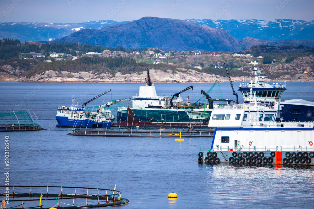 Salmon fish farm in fjord. Norway, Bergen. Stock Photo | Adobe Stock