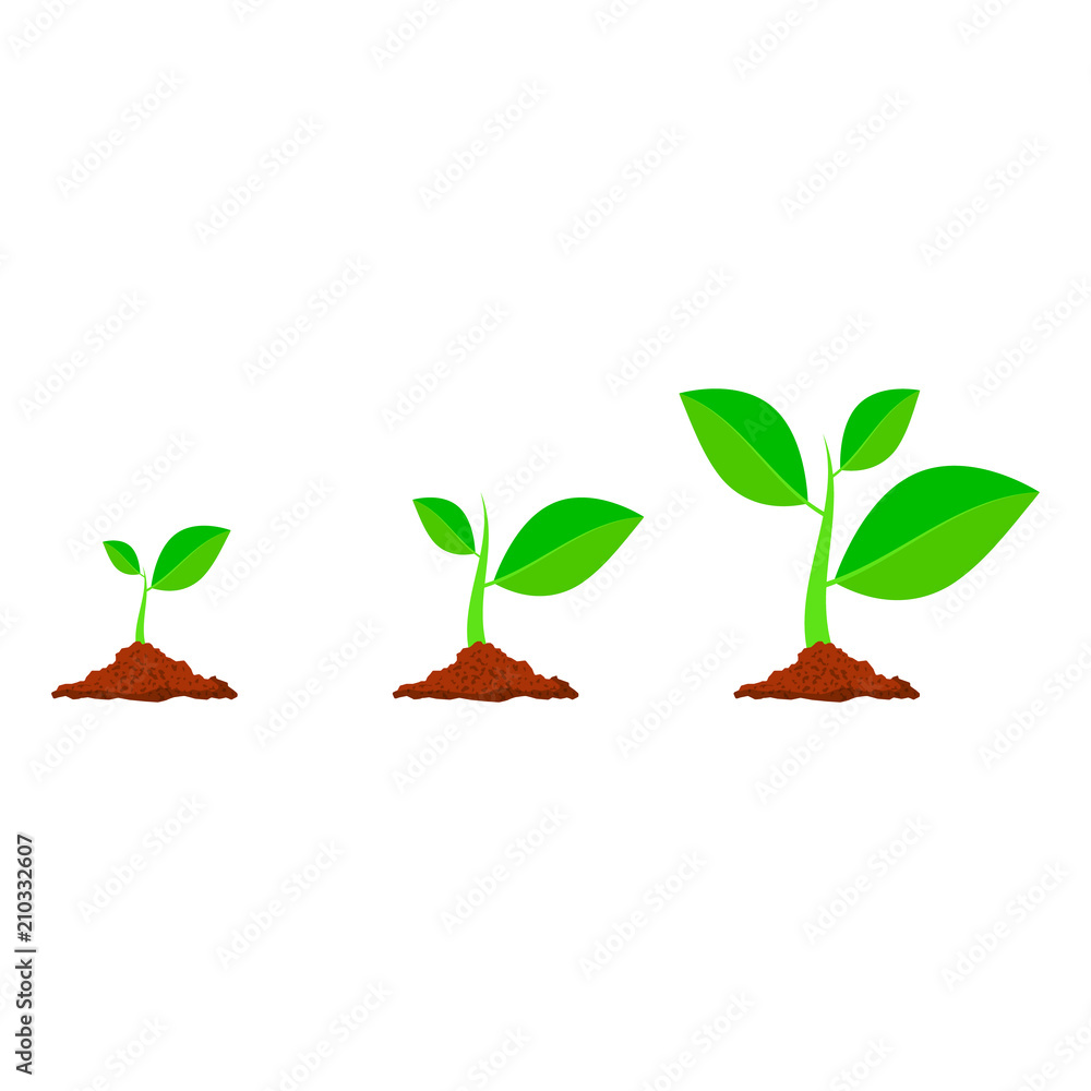 Planting tree icons Stock Vector | Adobe Stock