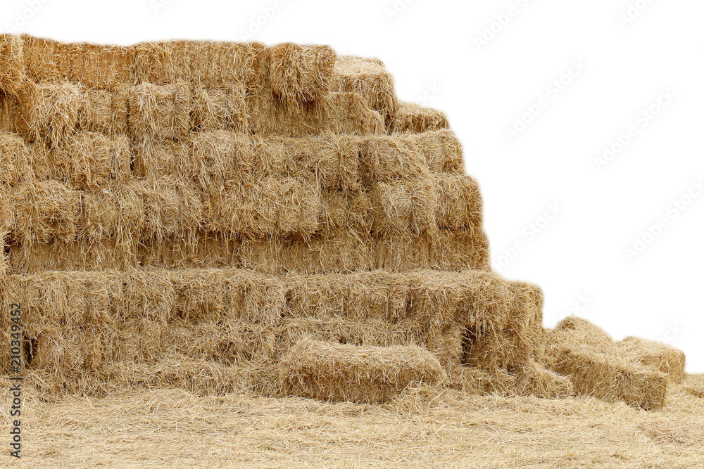 Straw, Mountain shape straw hay dry, Straw many on white background ...
