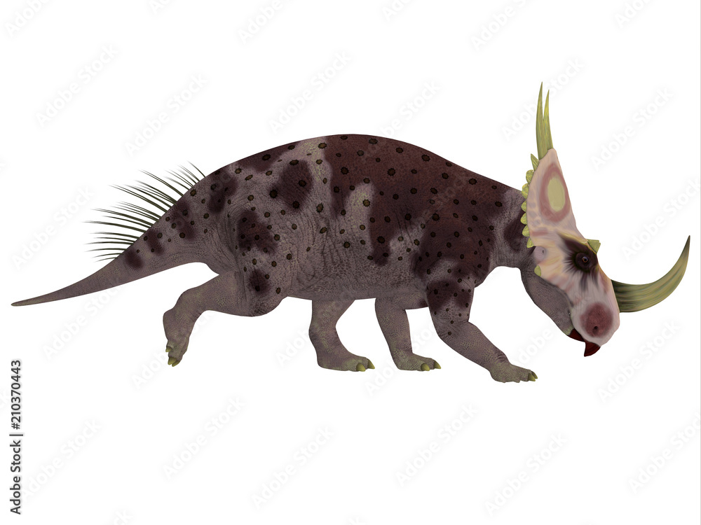 Rubeosaurus Dinosaur Side Profile - Rubeosaurus was a herbivorous ...