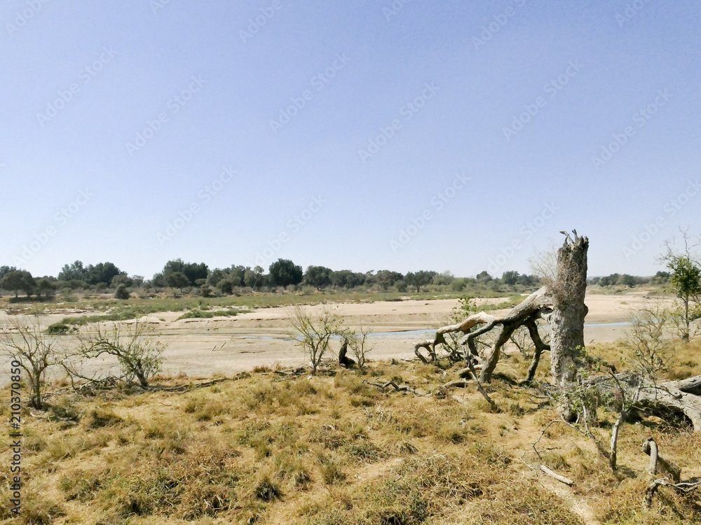 Limpopo river crossing the desert landscape of Mapungubwe National Park ...