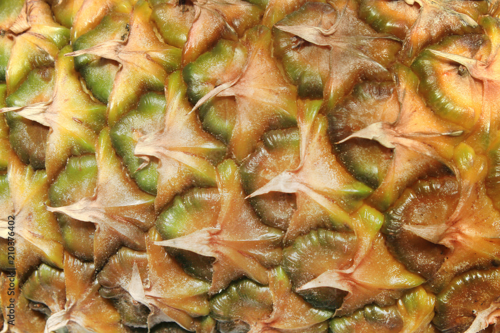 Pineapple Skin Pattern