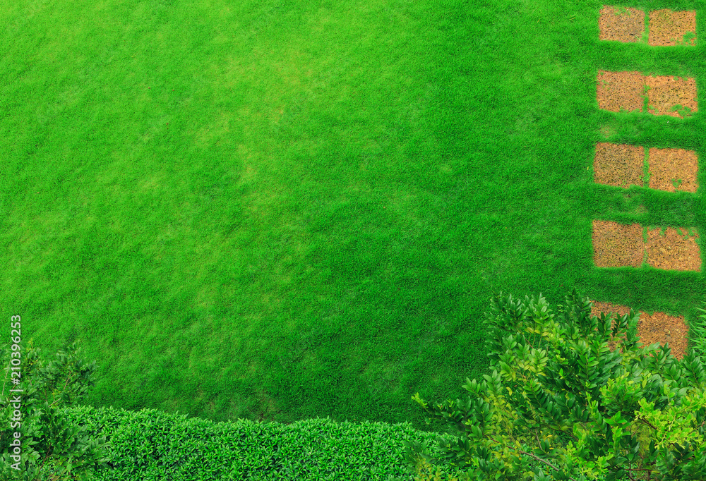 Landscape Garden Top View