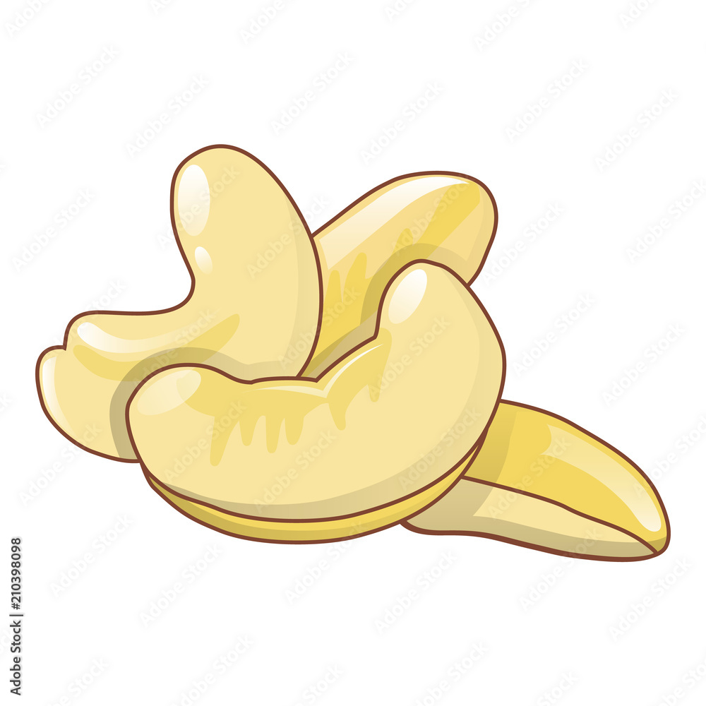 Cashew Nut Vector