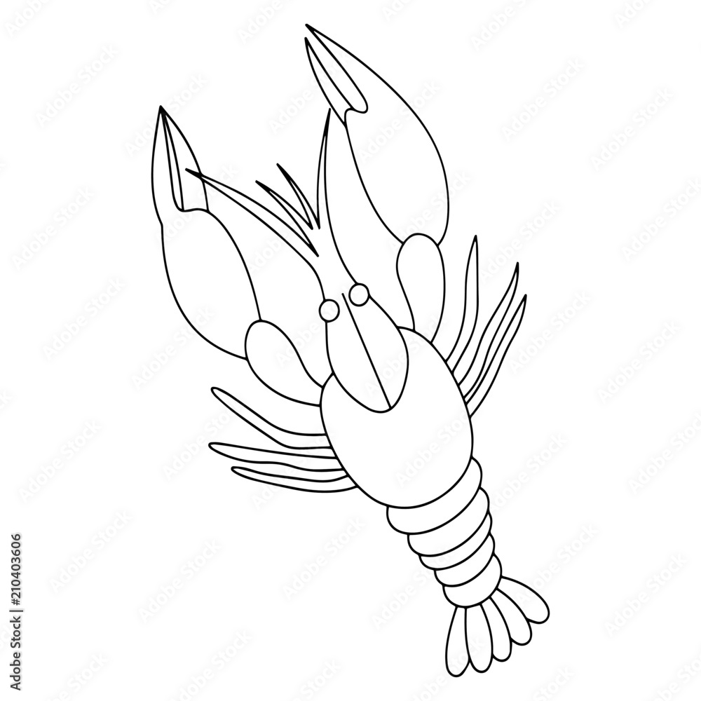 Lobster cartoon illustration isolated on white background for children ...