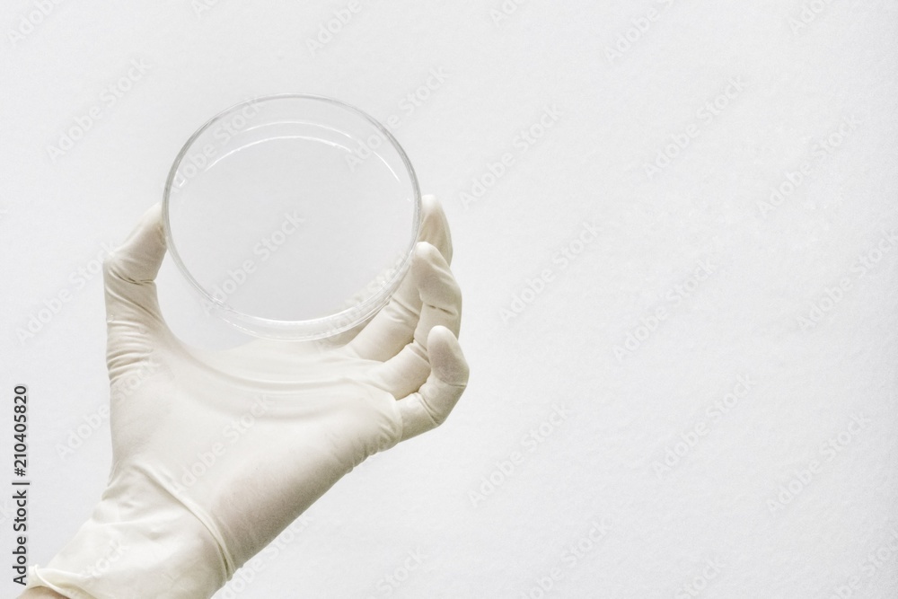 A Petri dish, named after the German bacteriologist Julius Richard ...