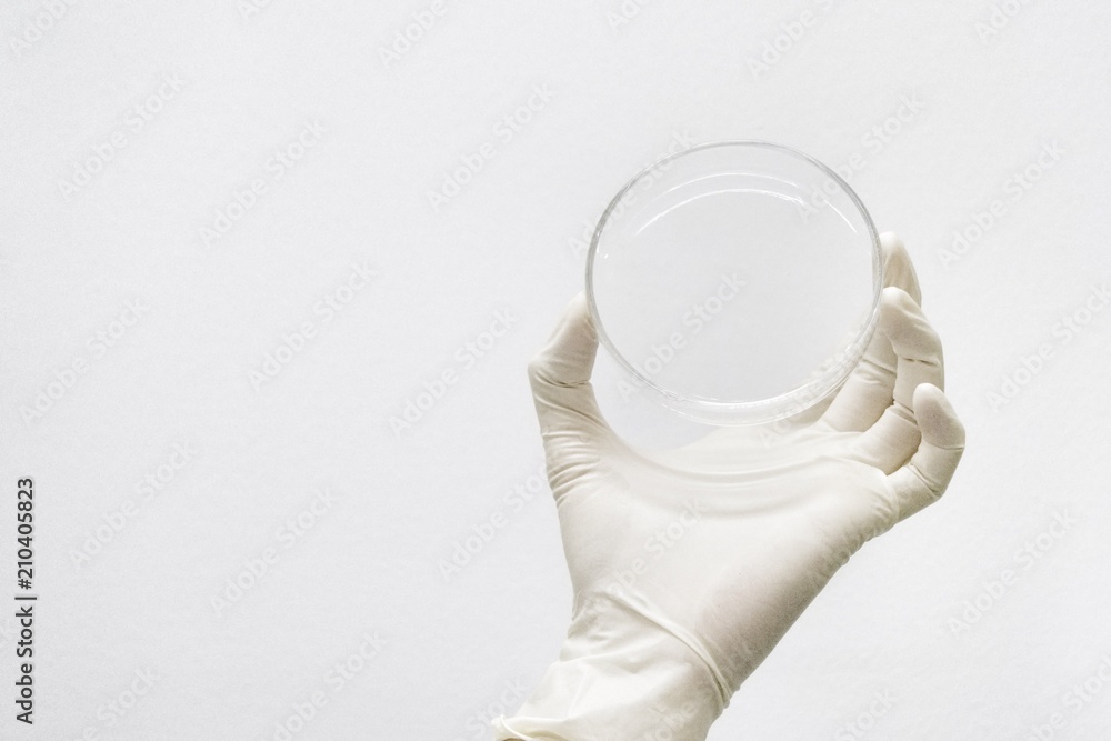 A Petri dish, named after the German bacteriologist Julius Richard ...