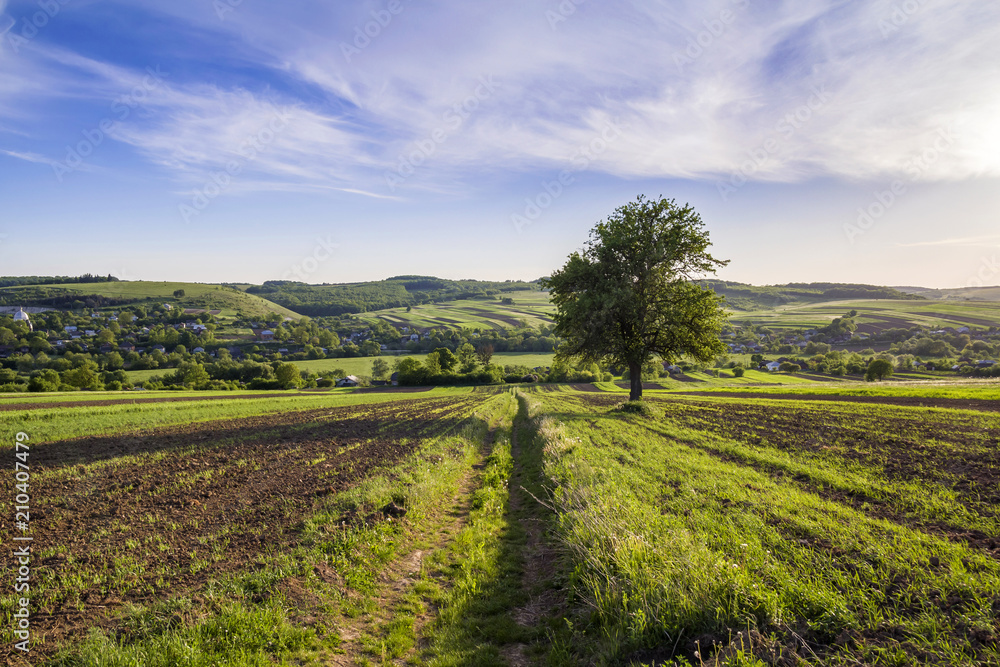Green Fields Village