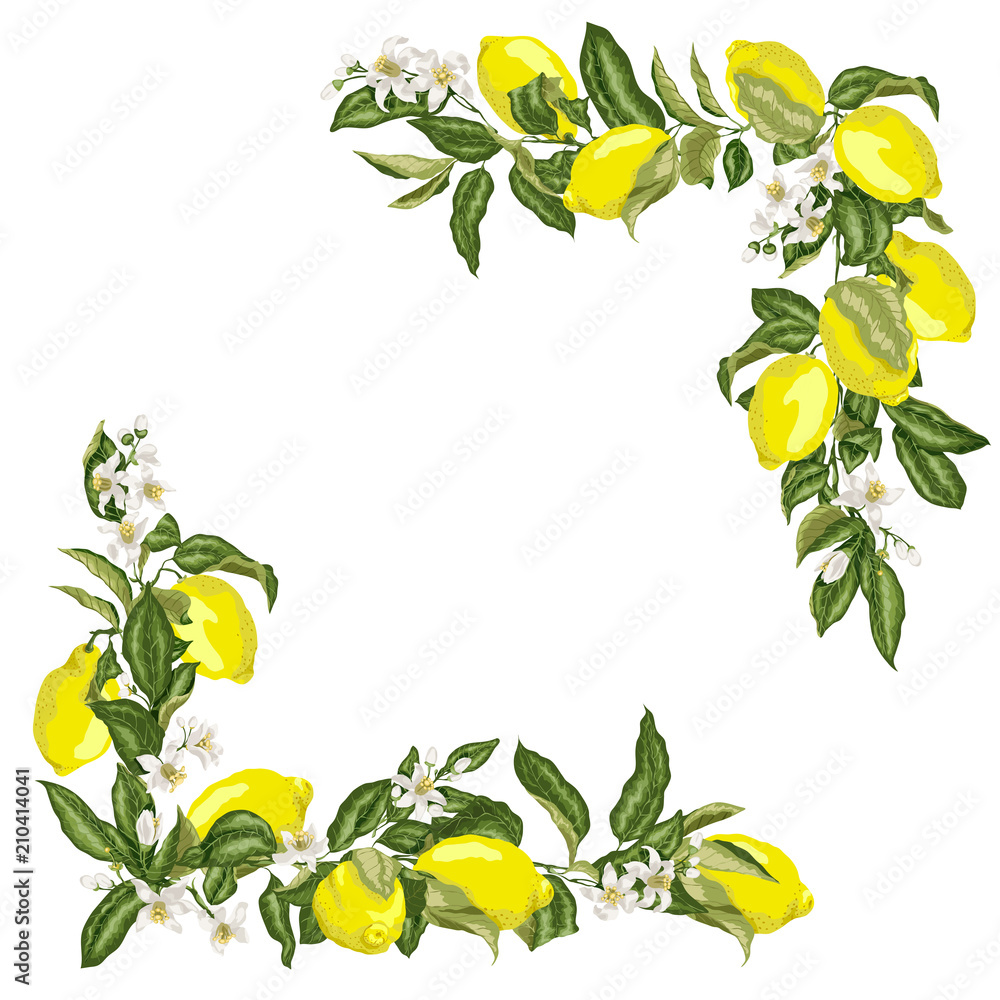 Set of corner square frame template with citrus lemon flower and fruits ...