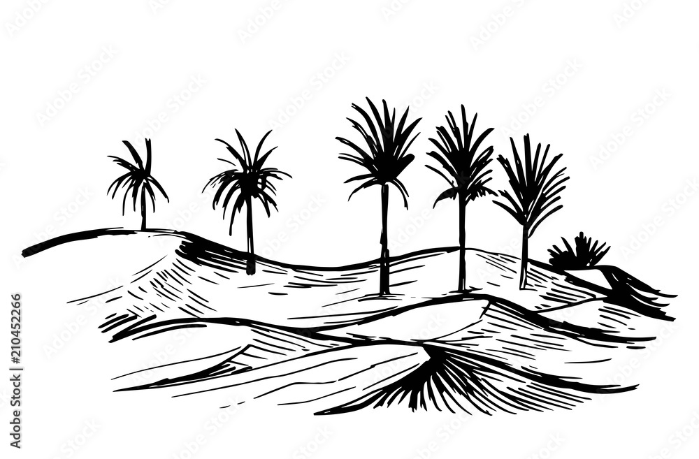 Sketch of oasis in the desert. Hand drawn illustration converted to ...