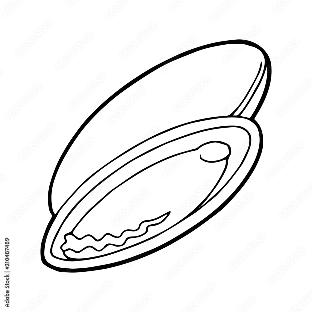 Clam cartoon illustration isolated on white background for children ...