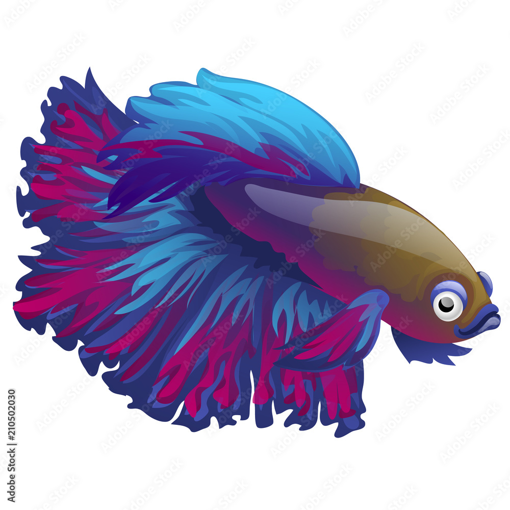 Cartoon blue betta fish, siamese fighting fish, betta splendens ...