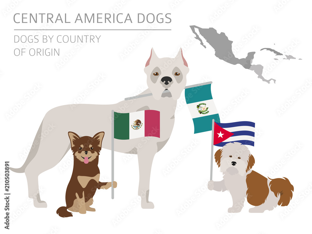 What Is The Origin Of All Dogs