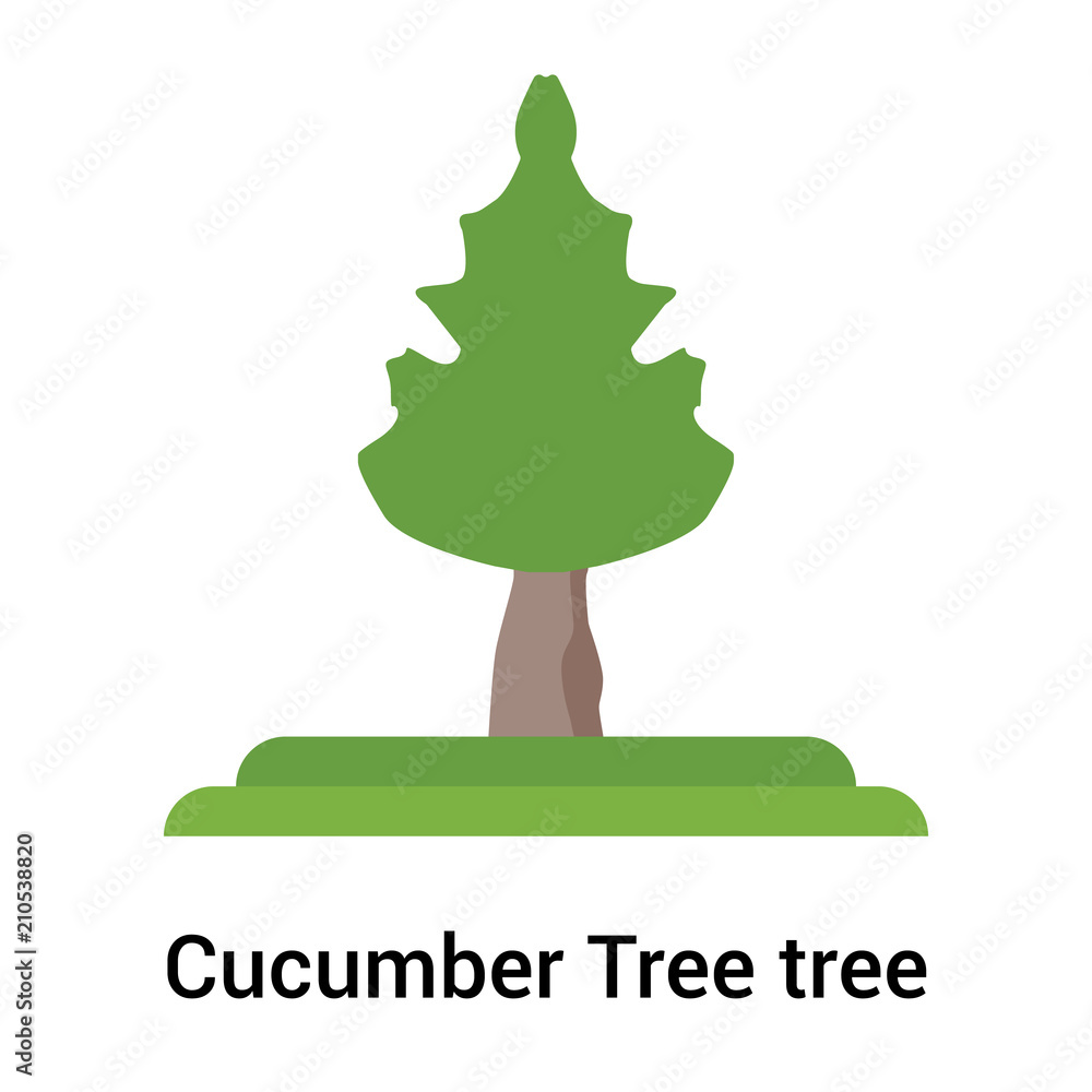 Cucumber Tree tree icon vector sign and symbol isolated on white ...