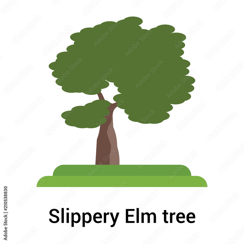 Elm Tree Clip Art