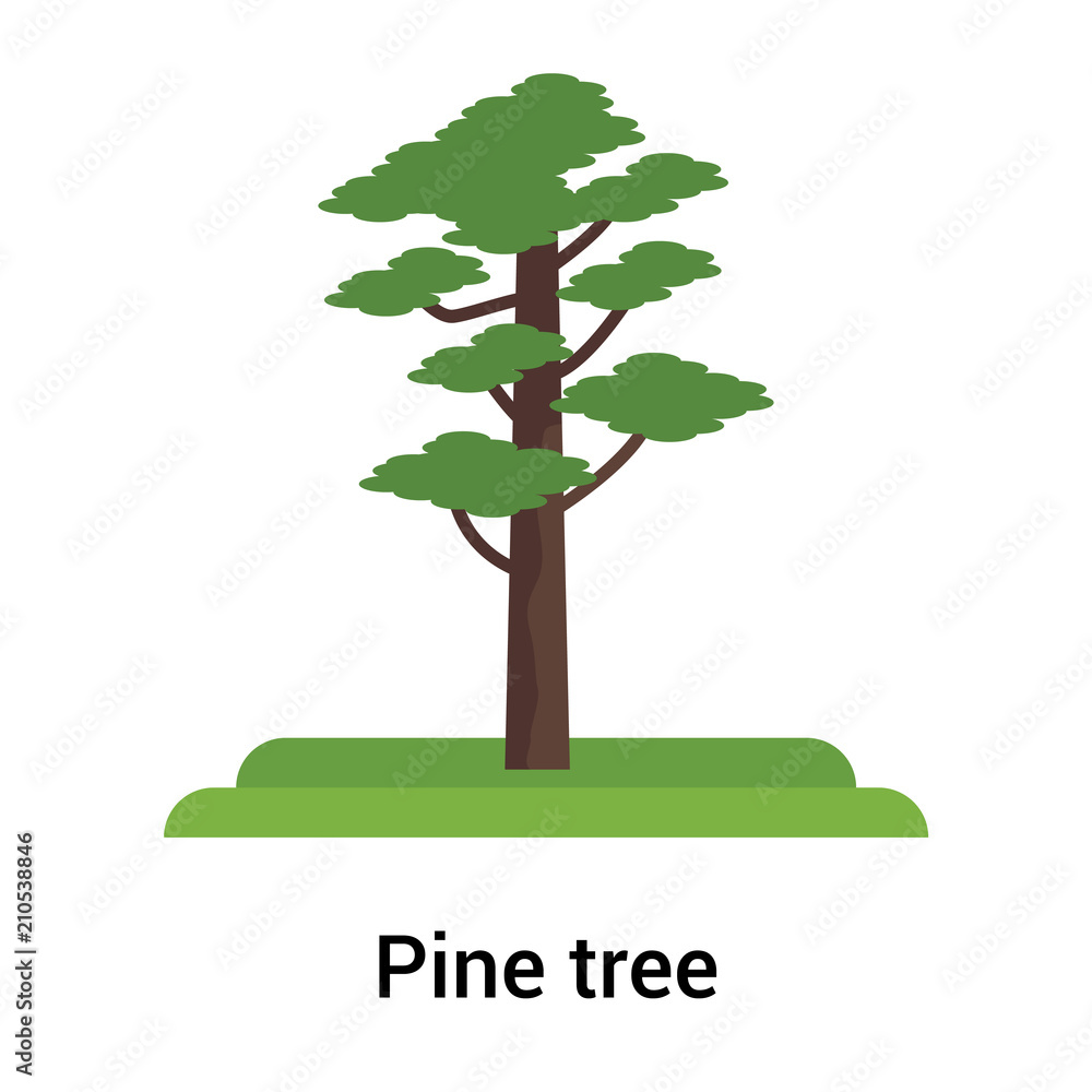 Red Pine tree icon vector sign and symbol isolated on white background ...