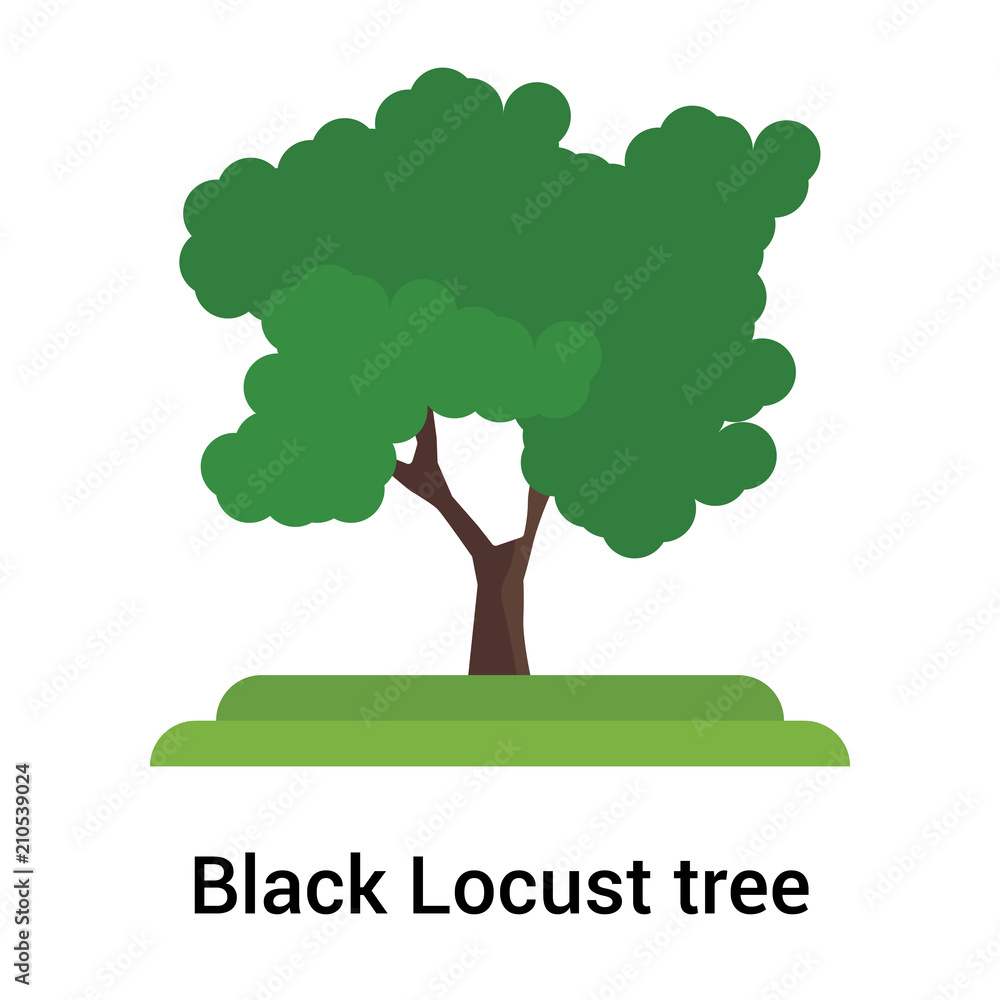 Black Locust tree icon vector sign and symbol isolated on white ...