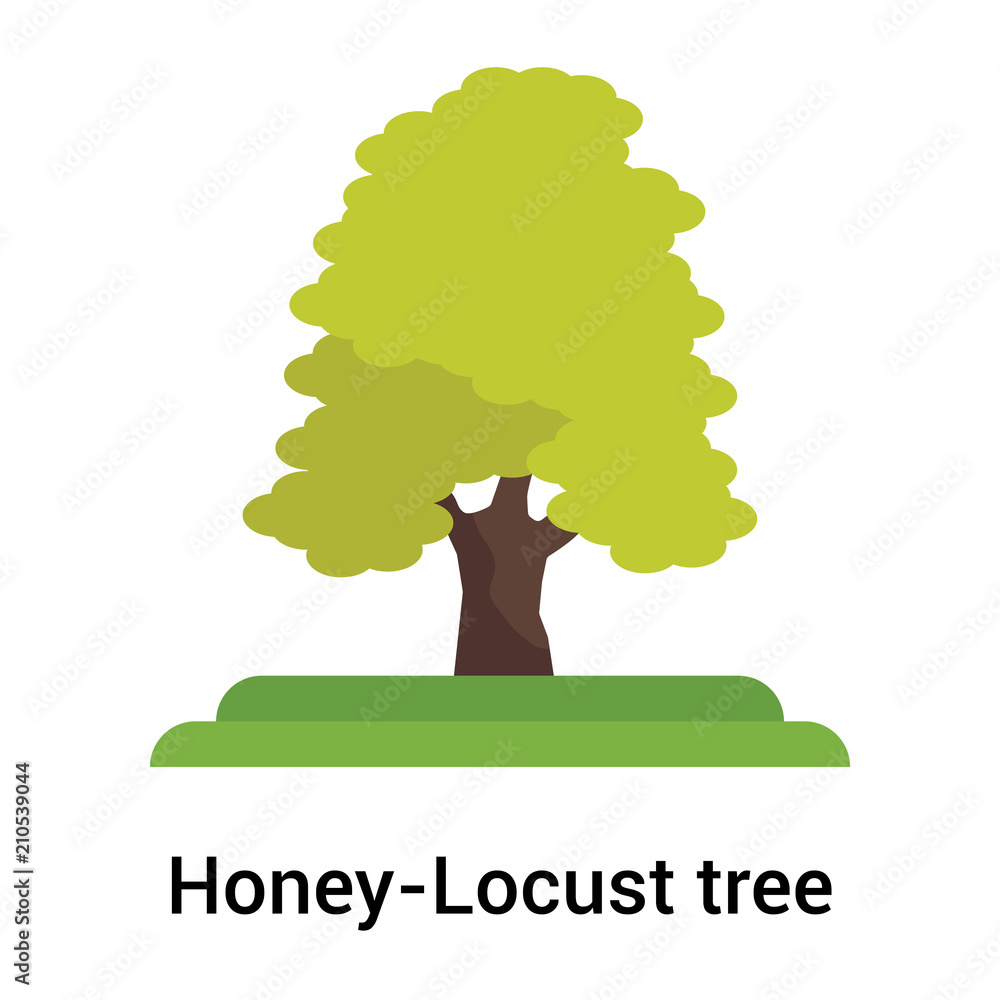 Honey-Locust tree icon vector sign and symbol isolated on white ...