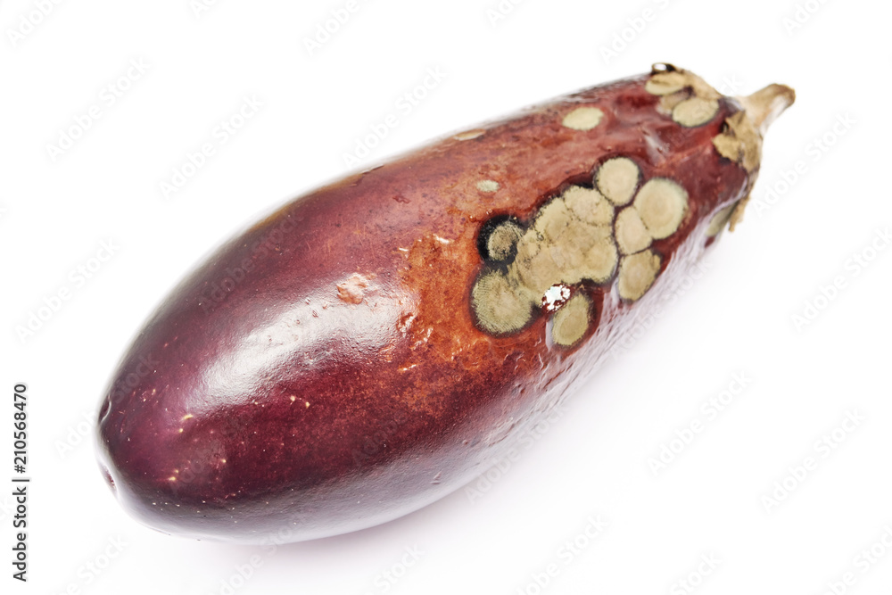 Spoiled Eggplant