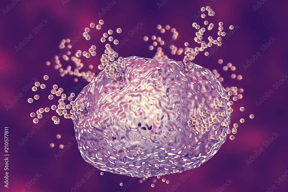 Mast cell releasing histamine during allergic response, 3D illustration Stock Illustration ...