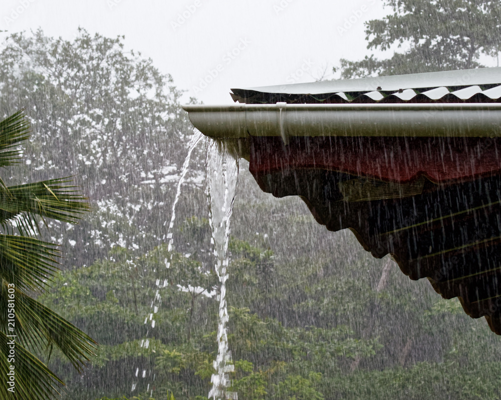 Strong tropical rain falls in a wooded area, in the foreground a house ...