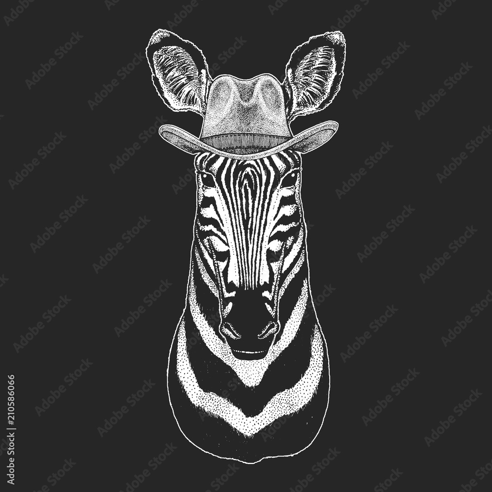 Zebra, Horse. Wild west. Traditional american cowboy hat. Texas rodeo ...