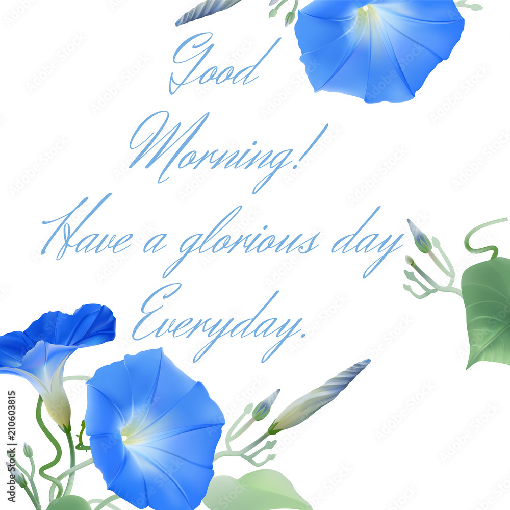 Good Morning! Hand drawn vector background with blue morning glory ...