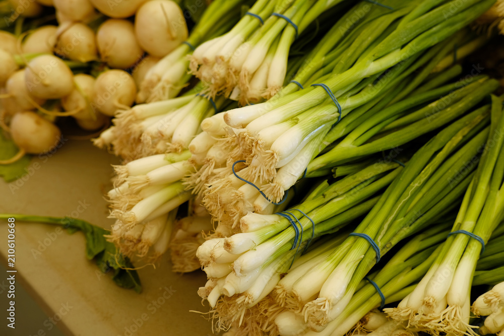 Fresh Scallions for sale at an outdoor market Stock Photo | Adobe Stock