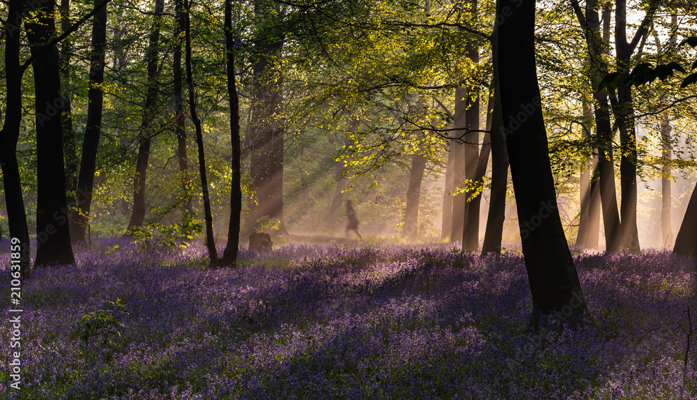 With the spring in his steps Stock Photo | Adobe Stock
