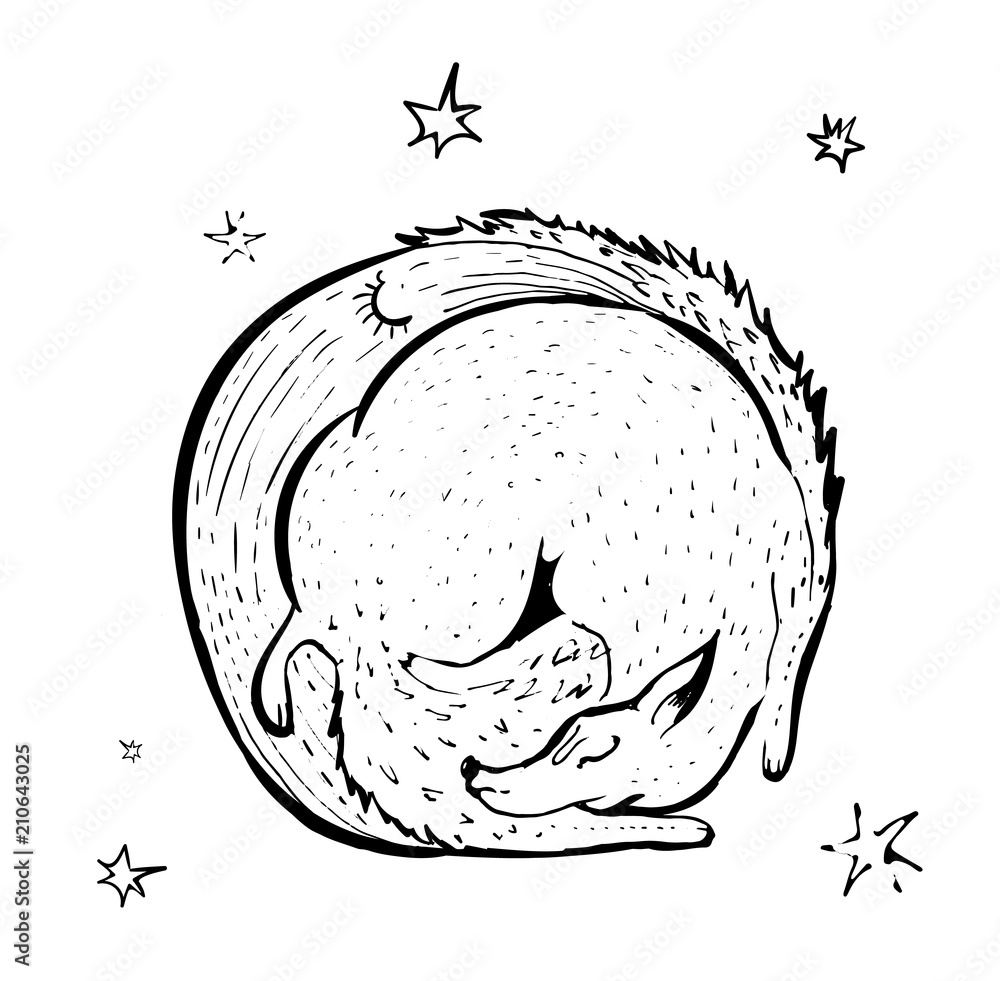 Fox with the moon and stars in vinatge style. Dreamy magic art. Night ...