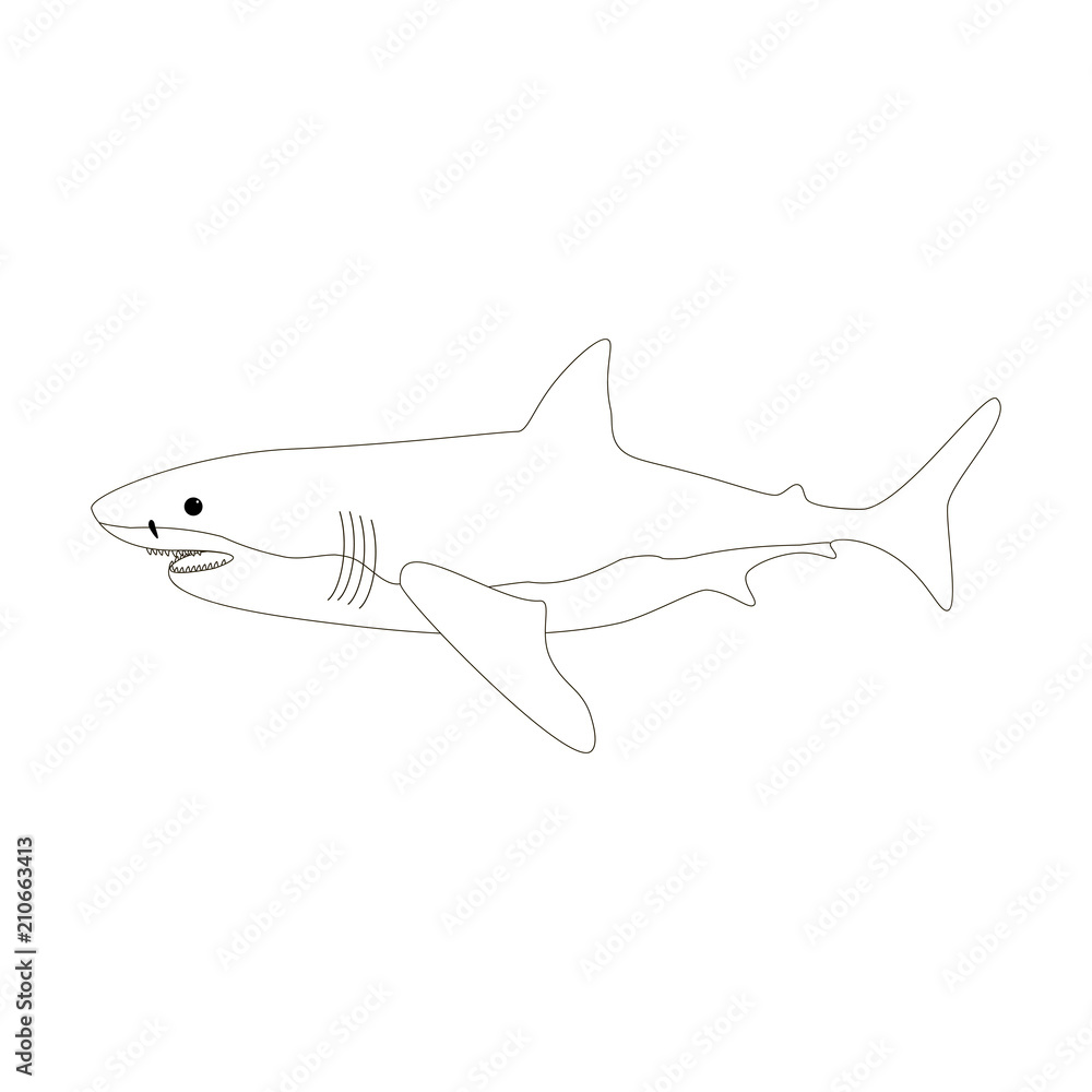 Shark coloring pages Stock Vector | Adobe Stock