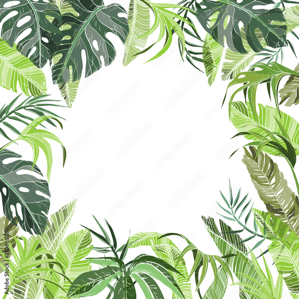 Tropical jungle plants background Stock Vector | Adobe Stock