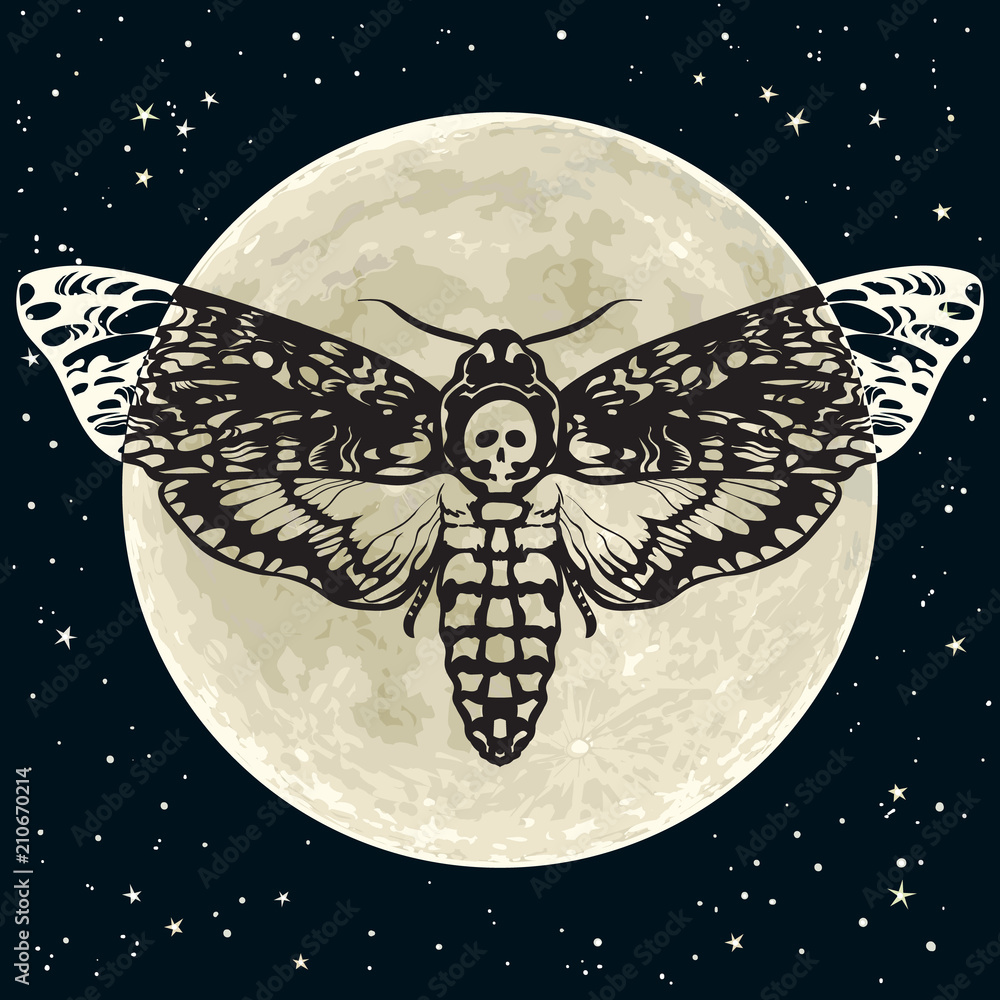 Death head hawkmoth on the full Moon and night sky background. Skull ...