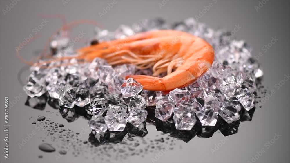 Shrimps. Prawns closeup. Seafood rotated on crashed ice, food ...