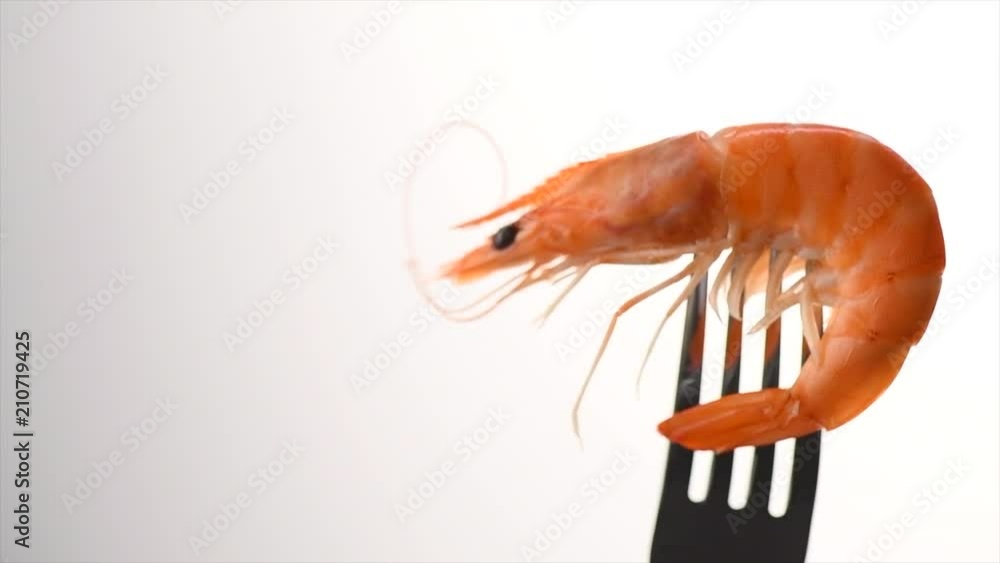 Shrimp. Prawn on a fork rotated on white background. Seafood. Healthy ...