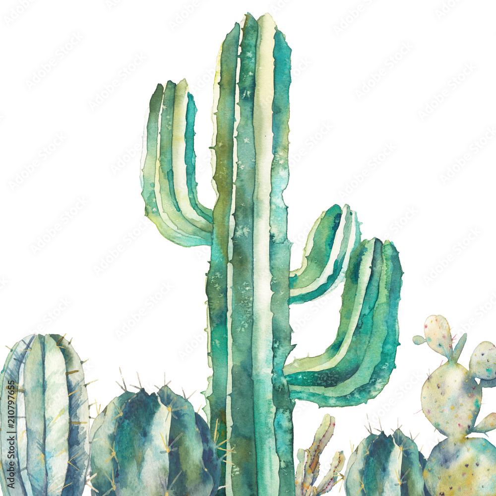Watercolor cactus art. Hand drawn card design with desert plants on ...