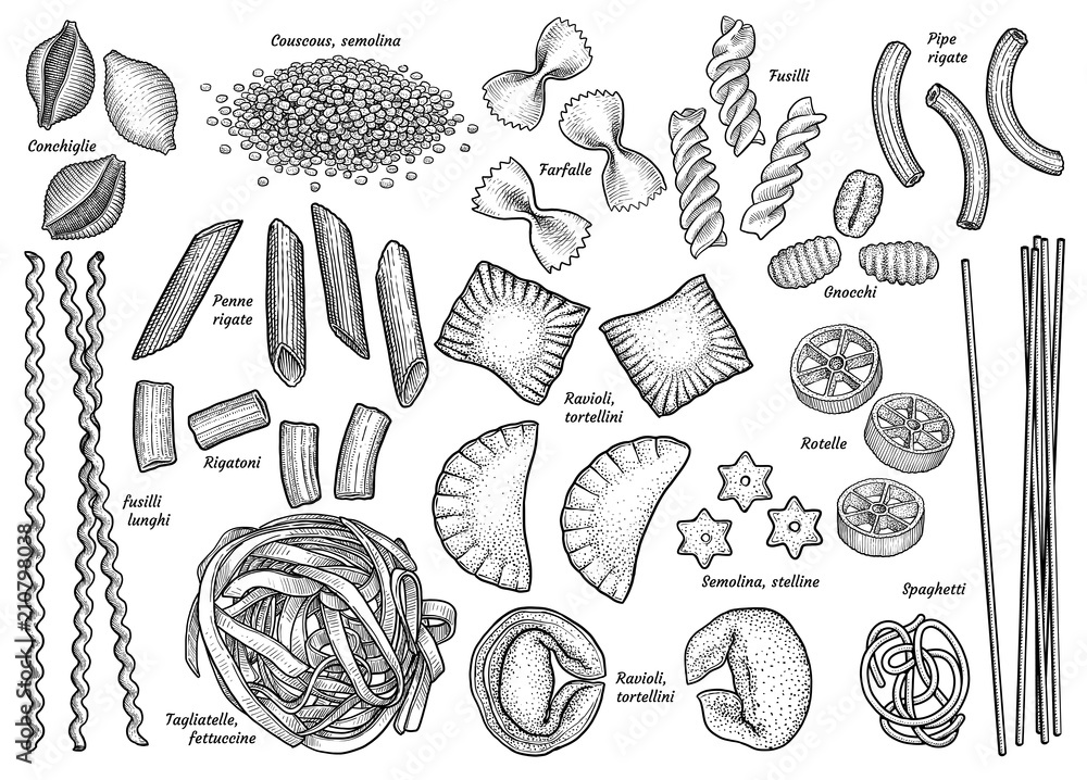Pasta collection illustration, drawing, engraving, ink, line art ...