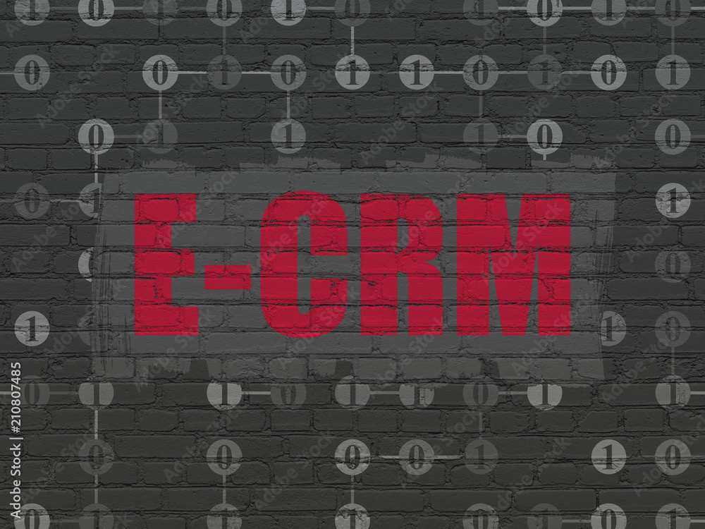 Business concept: Painted red text E-CRM on Black Brick wall background with Scheme Of Binary ...