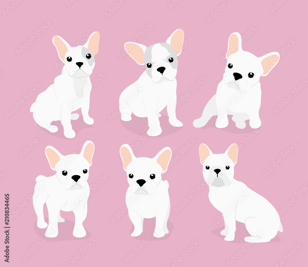 Vector illustration set of cute adorable french bulldog puppies on pink ...