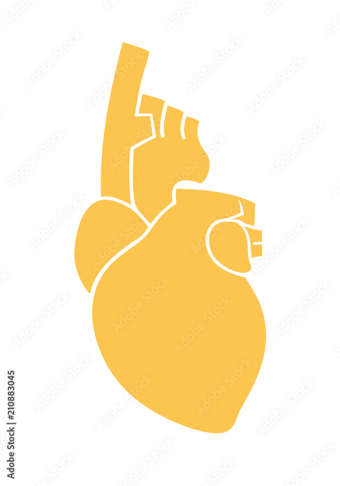 Anatomical Human Heart Sign. Flat design. Vector. Isolated on white ...