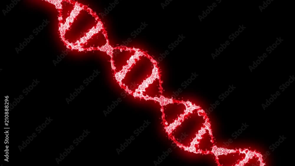 Digital Holographic Red DNA. Rotating DNA strands are assembled from ...