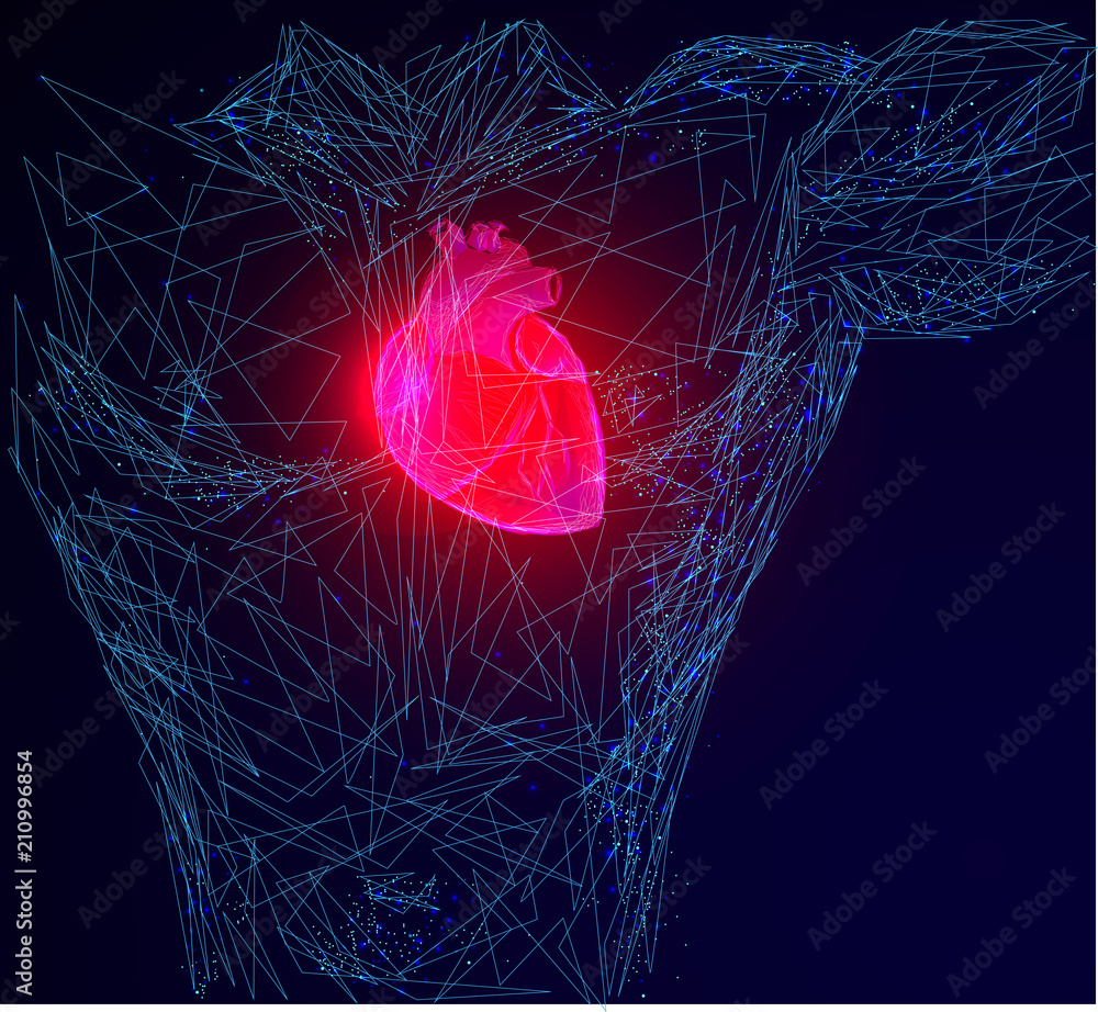 Human heart anatomy . Human body with Human heart low poly wireframe ...