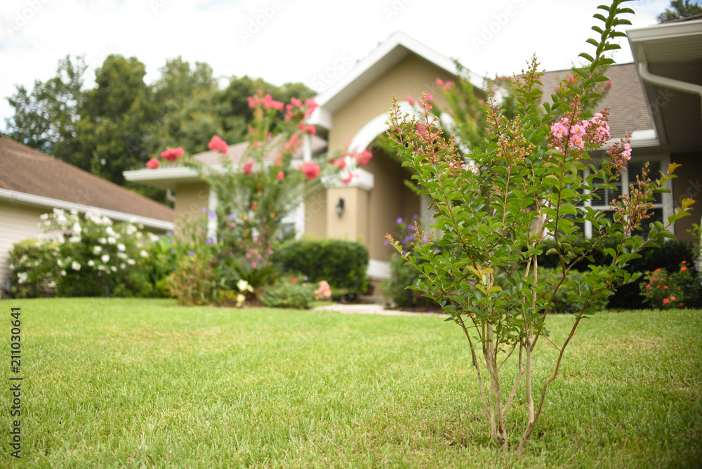 Arc Tangent Landscape Design