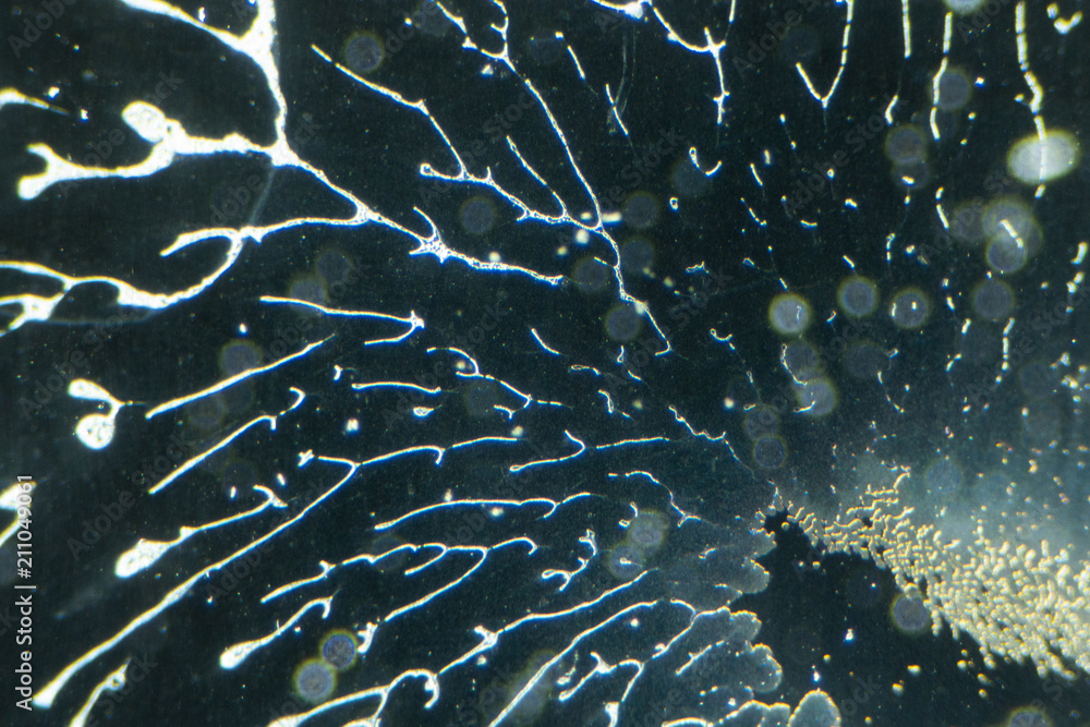 nanostructure of the metamaterial in a microscope Stock Photo | Adobe Stock