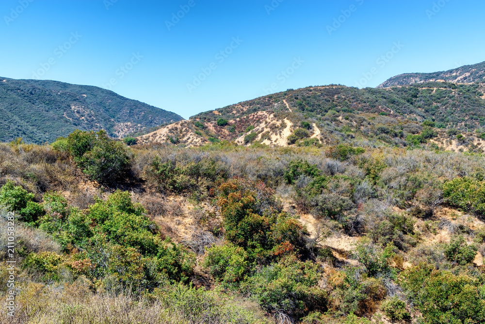 Heavy brush from late spring rain begins to dry in Southern California ...