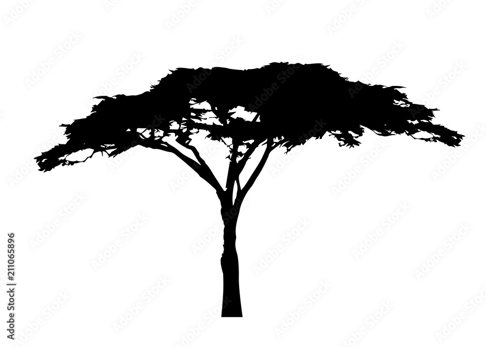 African Tree Icon Acacia Tree Silhouette Vector Isolated Stock Vector ... African Tree Icon Acacia Tree Silhouette Vector Isolated Stock Vector ...