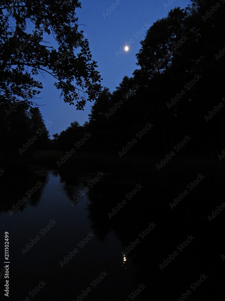 Night Moon Sky And Tree