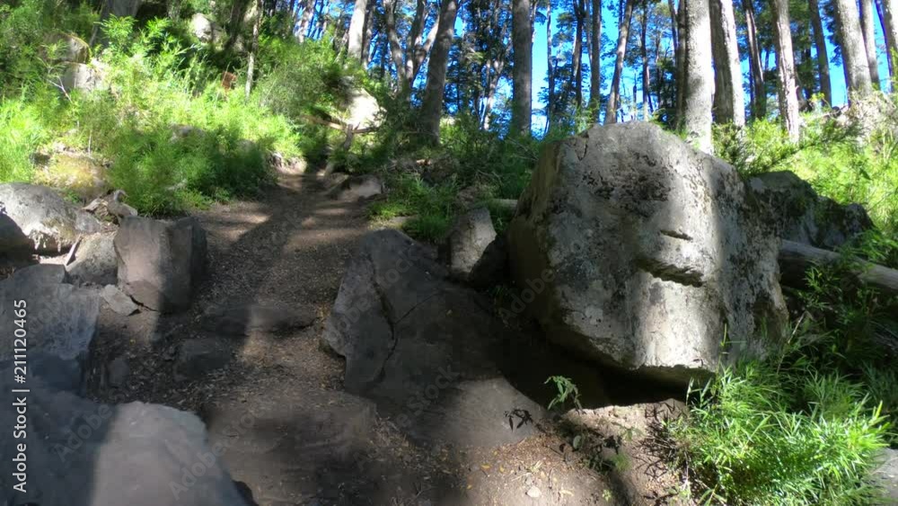 Vidéo Stock Walking throught path climbing rocks very close to floor ...