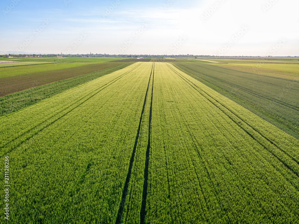 Foto de Agricultural landscape, aerial shot of an arable crop field ...