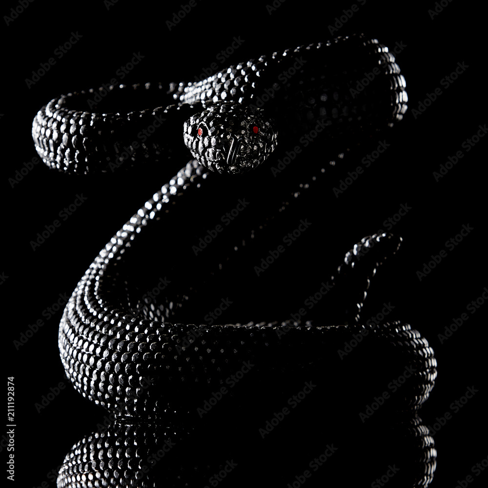 snake Stock Photo | Adobe Stock